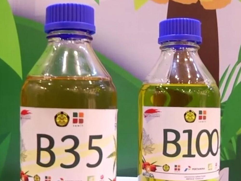 Jepang Belajar dari Indonesia untuk Bikin BBM kayak Biodiesel B35 ...